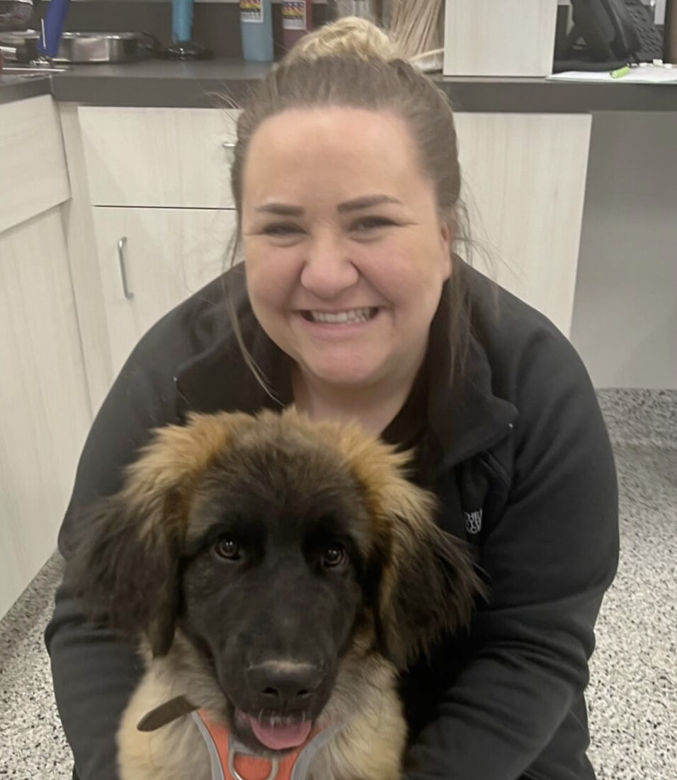 Brittaney Privett | Heartfelt Animal Care